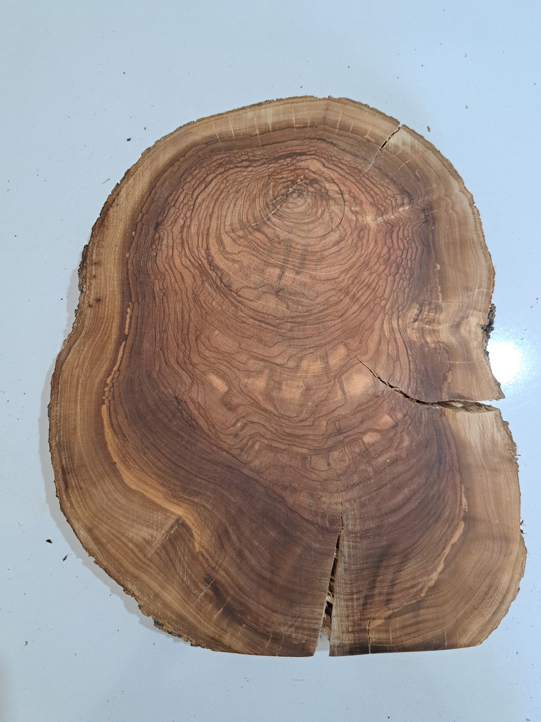 Olive Live Edge Wood Slab Olive Live Edge Log Wood Cookie Burl Slice ...