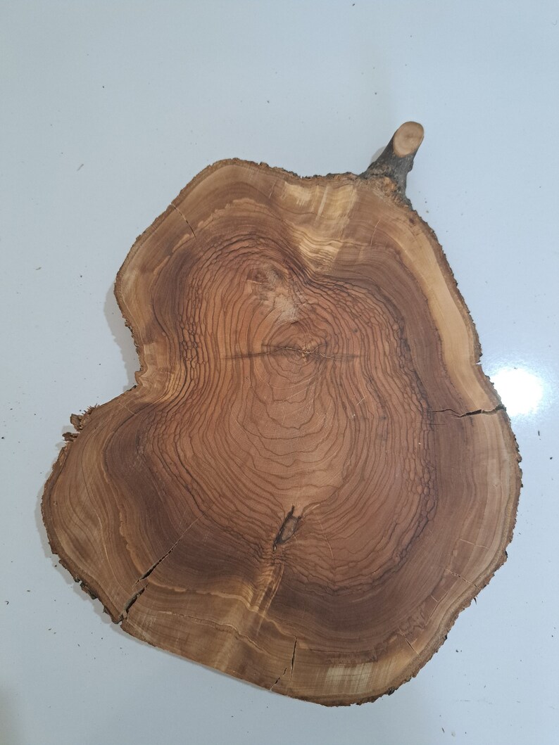 Olive Live Edge Wood Slab Olive Live Edge Log Wood Cookie Burl Slice ...