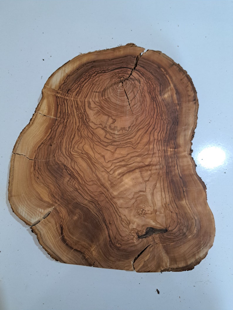 Olive Live Edge Wood Slab Olive Live Edge Log Wood Cookie Burl Slice ...