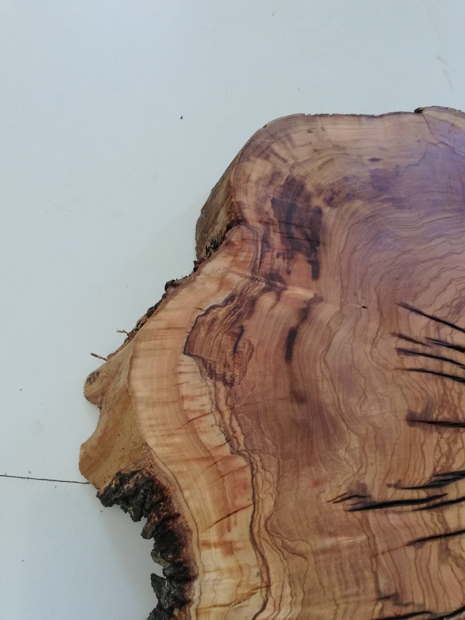 19 Olive Live Edge Slab Live Edge Wood Olive Burl Hole Wood Slice Huge ...
