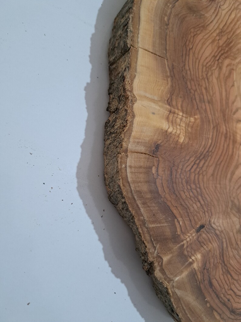 Olive Live Edge Slab Live Edge Wood Olive Burl Wood Slice Slab Wood ...