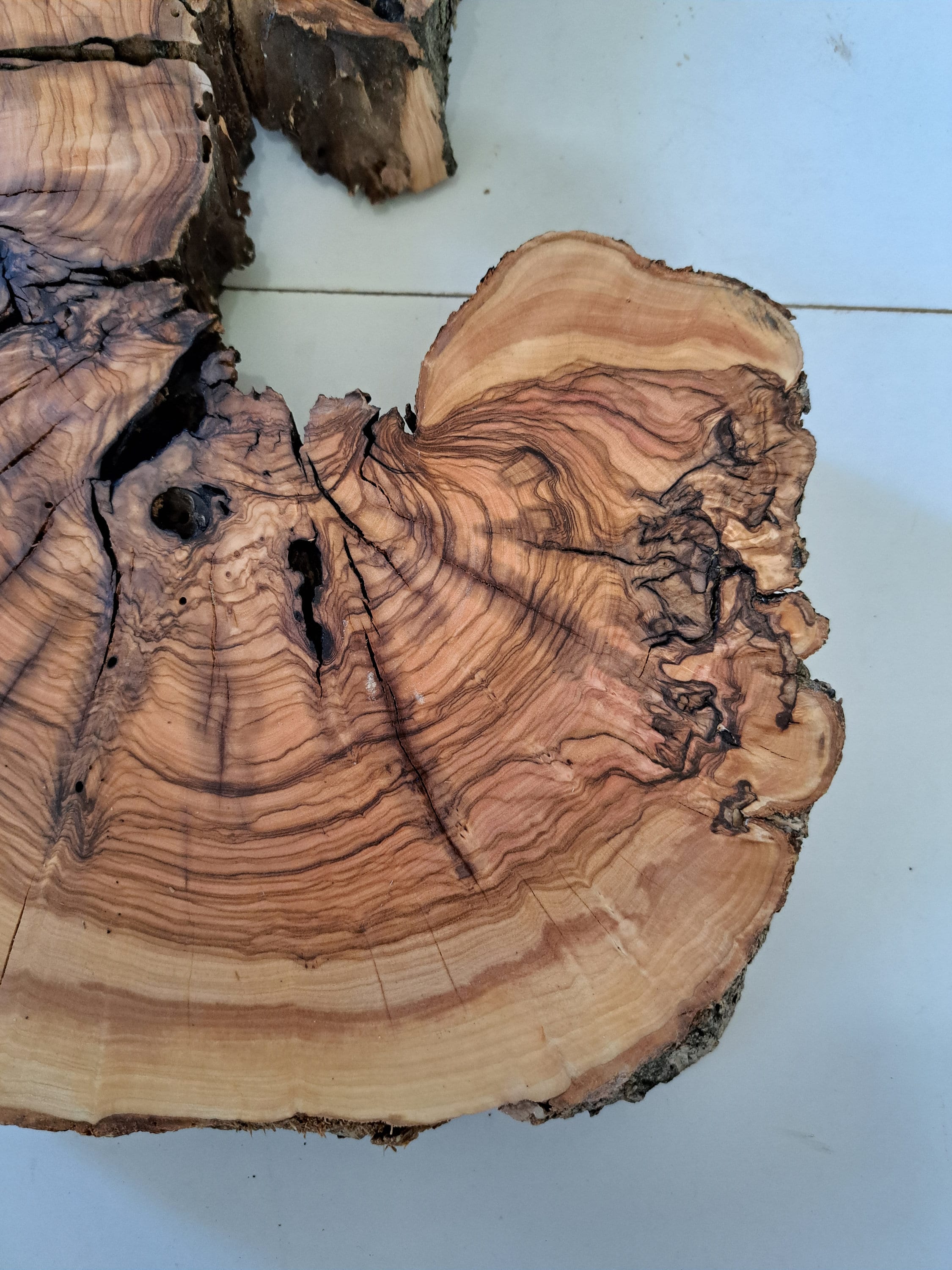 20 Olive Live Edge Wood Slab Live Edge Olive Burl Hole Wood Slice Huge ...