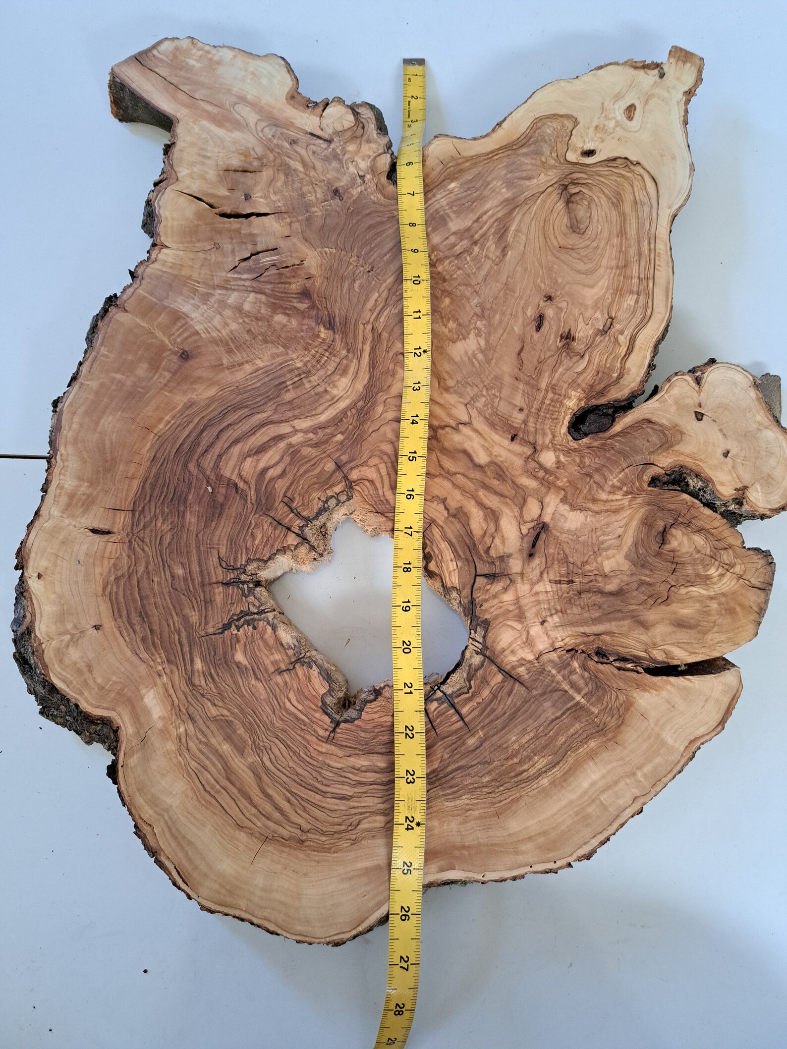 26 Olive Live Edge Wood Slab Live Edge Olive Burl Hole Wood Slice Huge ...