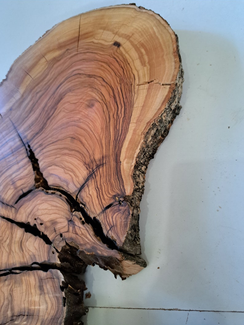 20 Olive Live Edge Wood Slab Live Edge Olive Burl Hole Wood Slice Huge ...