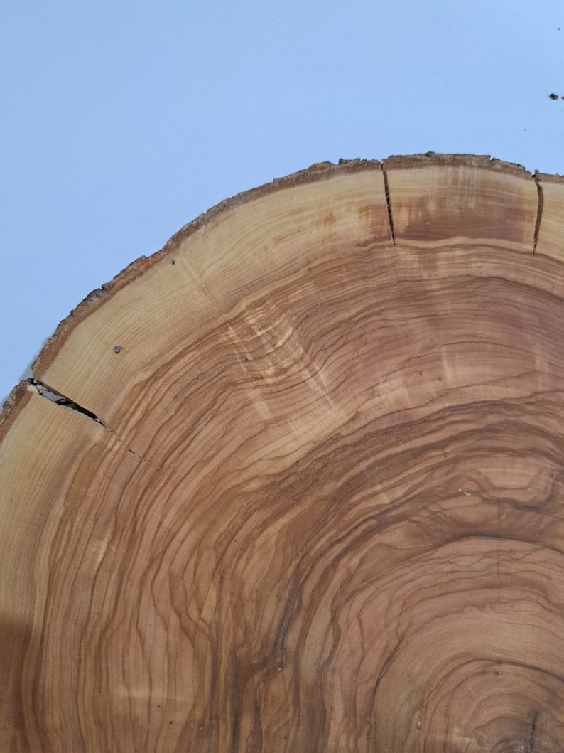 Olive Live Edge Wood Slab Olive Live Edge Log Wood Cookie Burl Slice ...