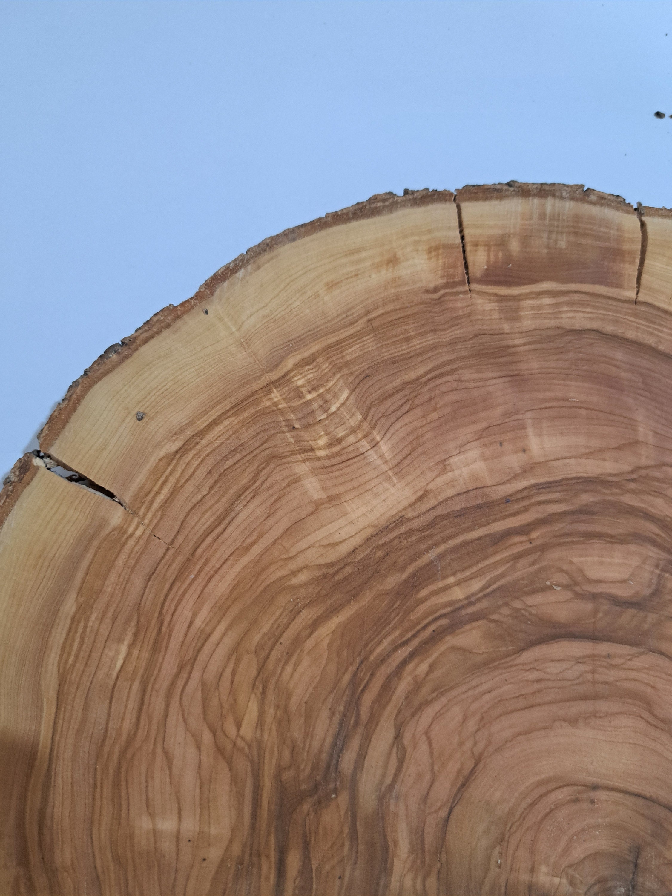 Olive Live Edge Wood Slab Olive Live Edge Log Wood Cookie Burl Slice ...