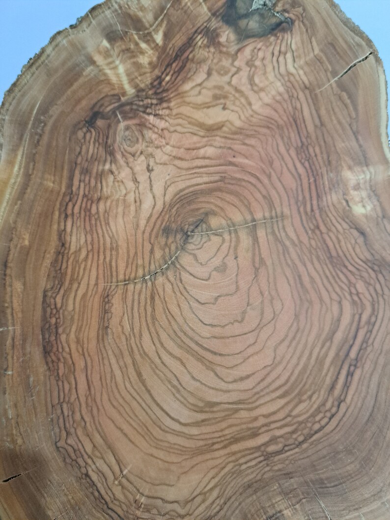 Olive Live Edge Wood Slab Olive Live Edge Log Wood Cookie Burl Slice ...