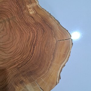 Olive Live Edge Wood Slab Olive Live Edge Log Wood Cookie Burl Slice ...