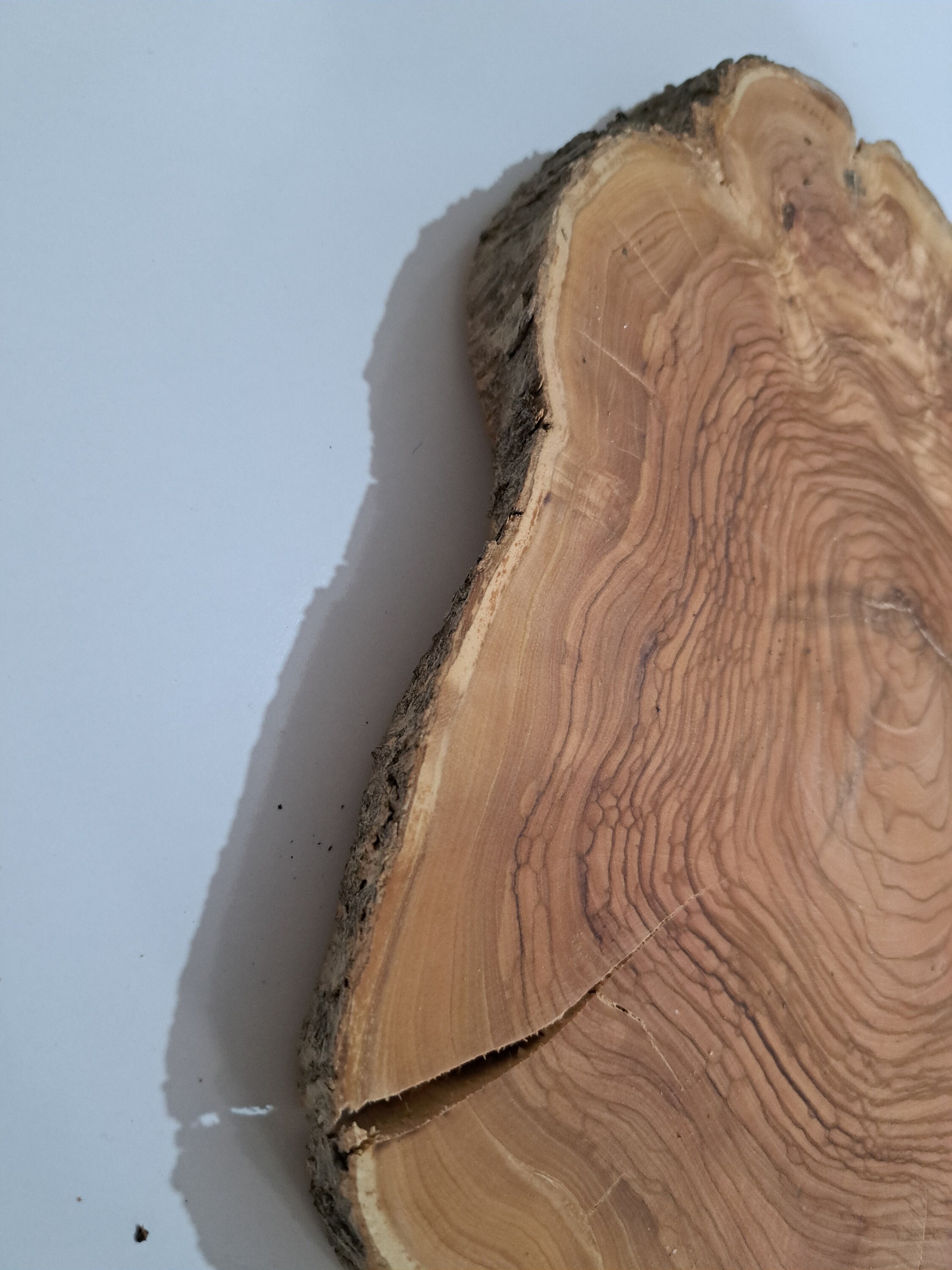 Olive Live Edge Wood Slab Olive Live Edge Log Wood Cookie Burl Slice ...