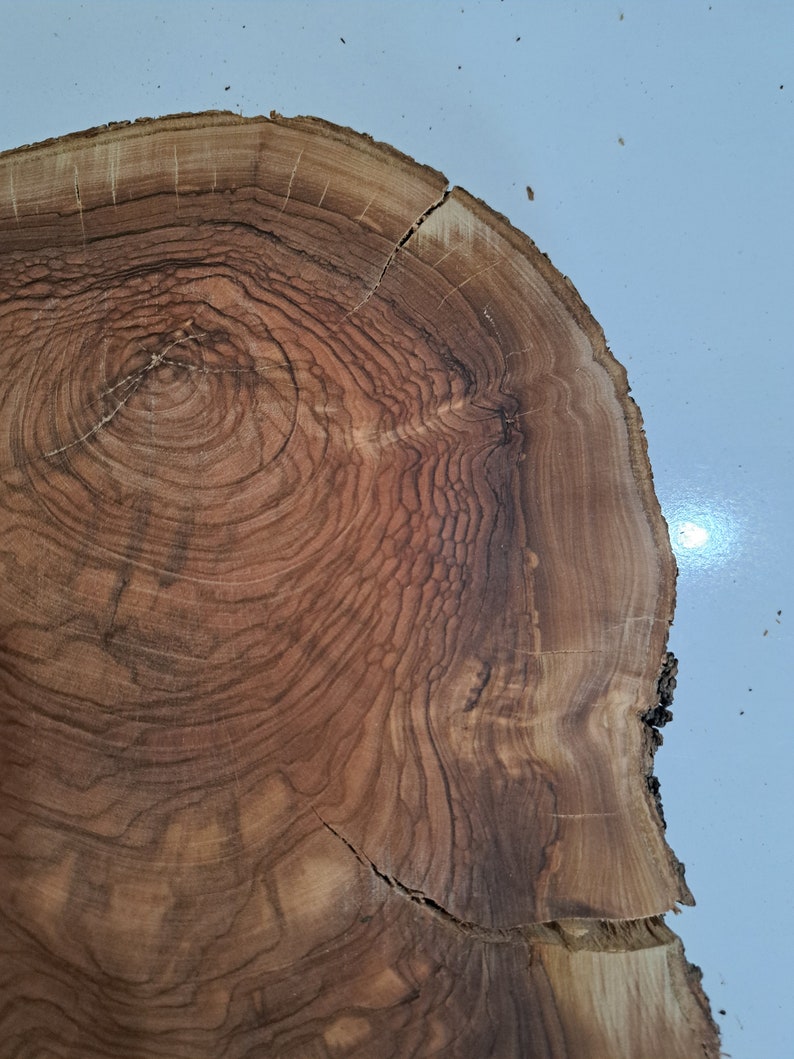 Olive Live Edge Wood Slab Olive Live Edge Log Wood Cookie Burl Slice ...