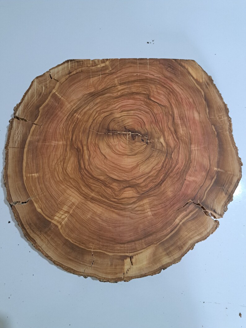 Olive Live Edge Wood Slab Olive Live Edge Log Wood Cookie Burl Slice ...