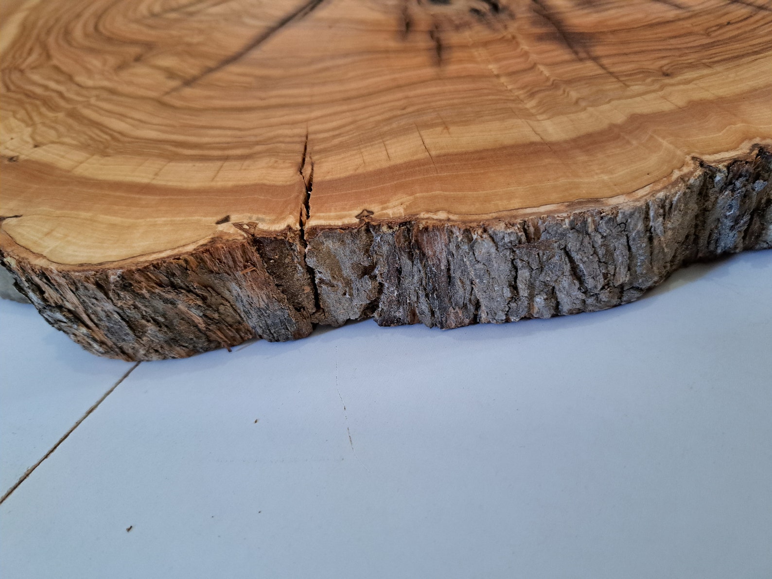 20 Olive Live Edge Wood Slab Live Edge Olive Burl Hole Wood Slice Huge ...