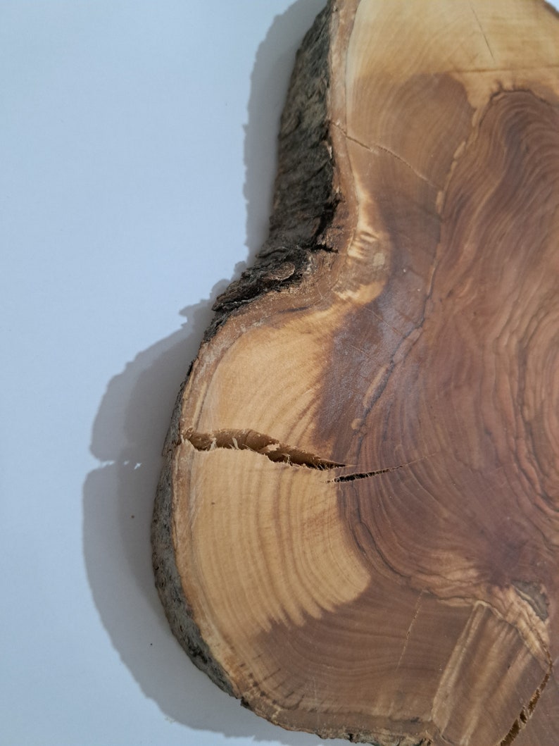 Olive Live Edge Wood Slab Olive Live Edge Log Wood Cookie Burl Slice ...