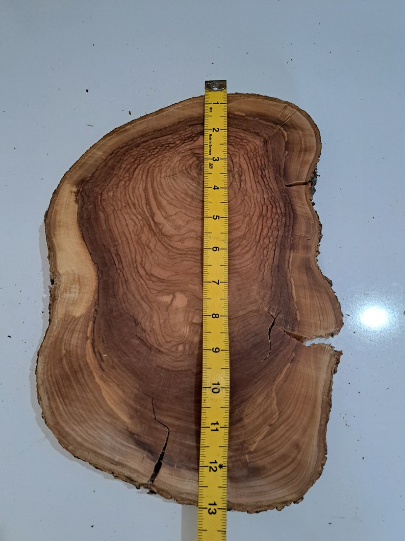 Olive Live Edge Wood Slab Olive Live Edge Log Wood Cookie Burl Slice ...