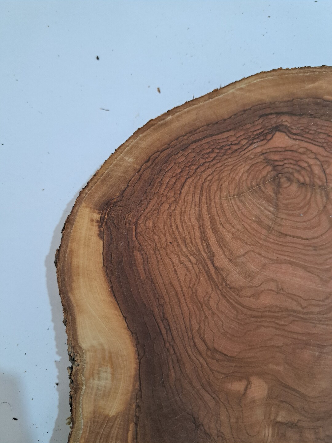 Olive Live Edge Wood Slab Olive Live Edge Log Wood Cookie Burl Slice ...