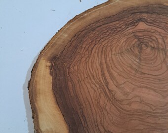 Olive Live Edge Wood Slab Olive Live Edge Log Wood Cookie Burl Slice ...