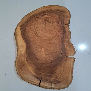 Olive Live Edge Wood Slab Olive Live Edge Log Wood Cookie Burl Slice ...