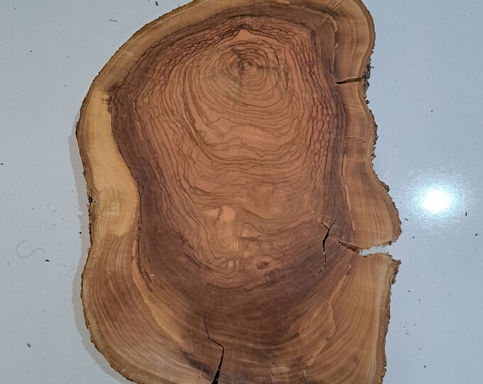 Olive Live Edge Wood Slab Olive Live Edge Log Wood Cookie Burl Slice ...