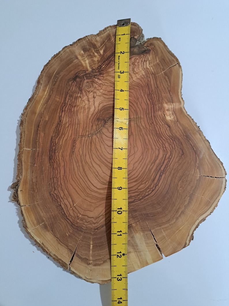 Olive Live Edge Wood Slab Olive Live Edge Log Wood Cookie Burl Slice ...