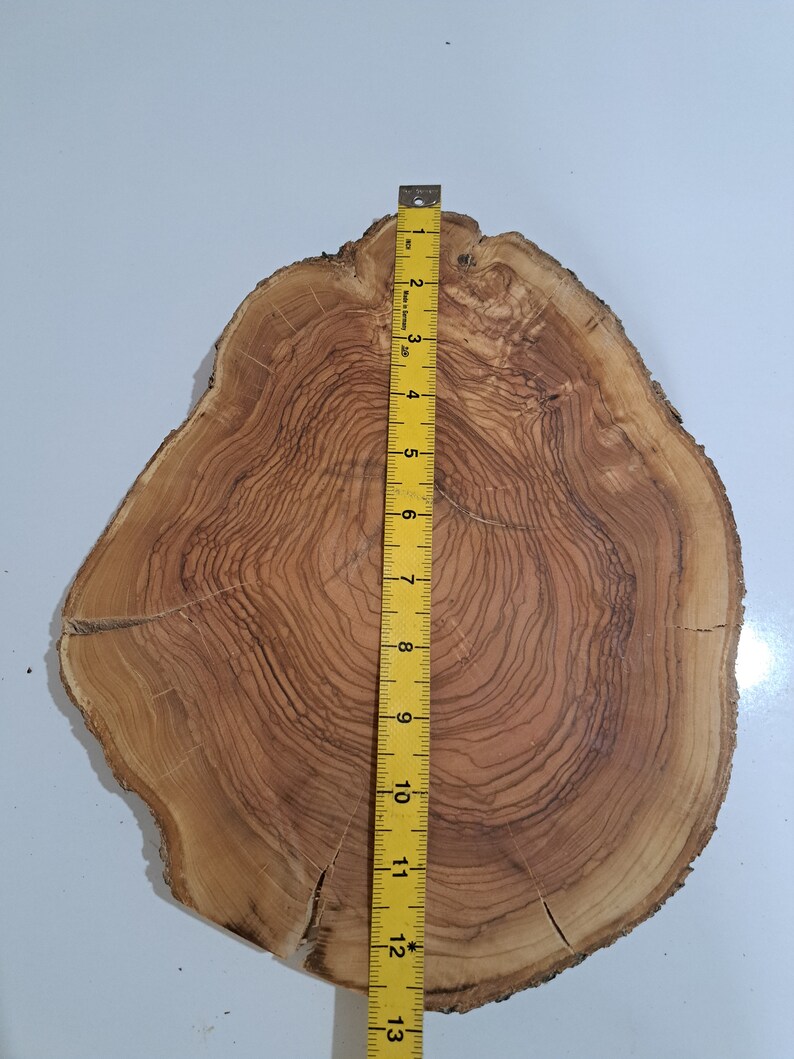 Olive Live Edge Wood Slab Olive Live Edge Log Wood Cookie Burl Slice ...