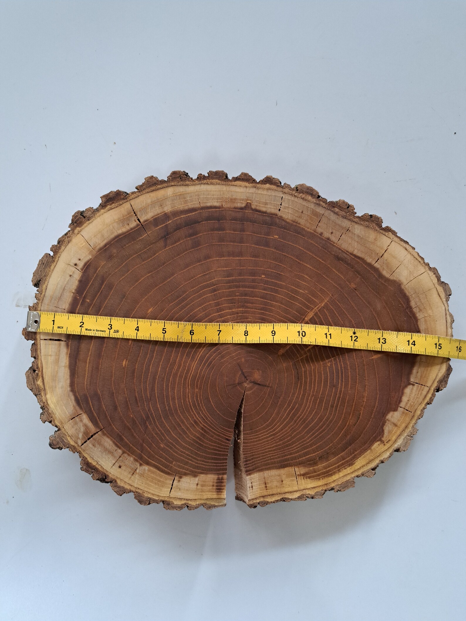 Mulberry Wood Log Slice Live Edge Cookie Naturel Round Tree - Etsy