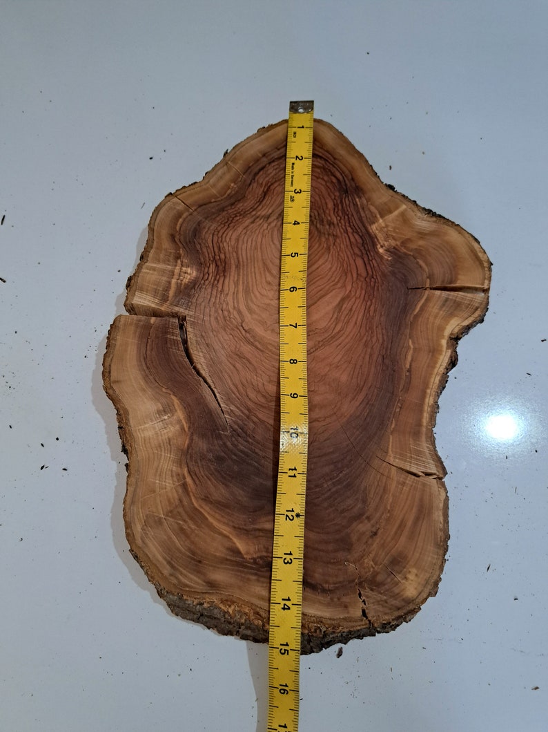 Olive Live Edge Wood Slab Olive Live Edge Log Wood Cookie Burl Slice ...