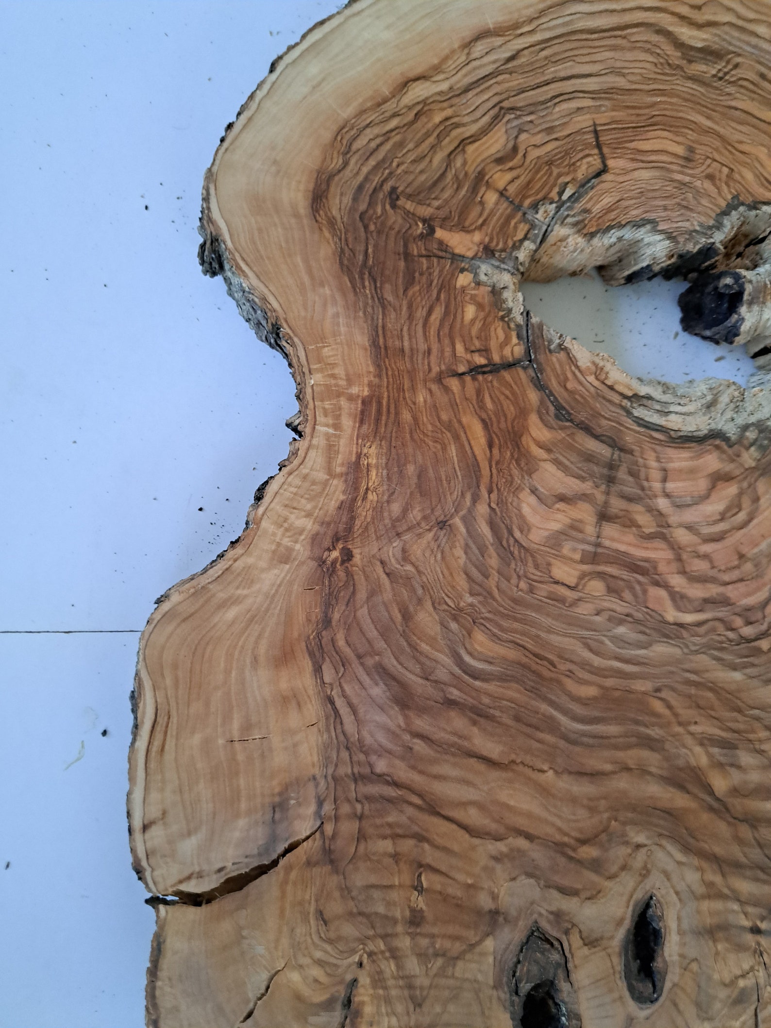 Unique Olive Live Edge Wood Slab Live Edge Olive Burl Hole Wood Slice ...