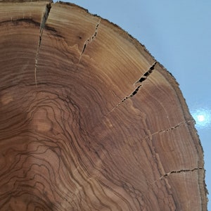 Olive Live Edge Wood Slab Olive Live Edge Log Wood Cookie Burl Slice ...