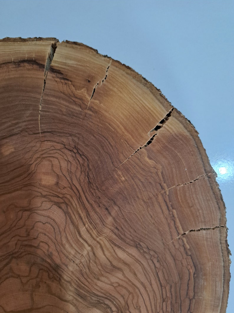 Olive Live Edge Wood Slab Olive Live Edge Log Wood Cookie Burl Slice ...