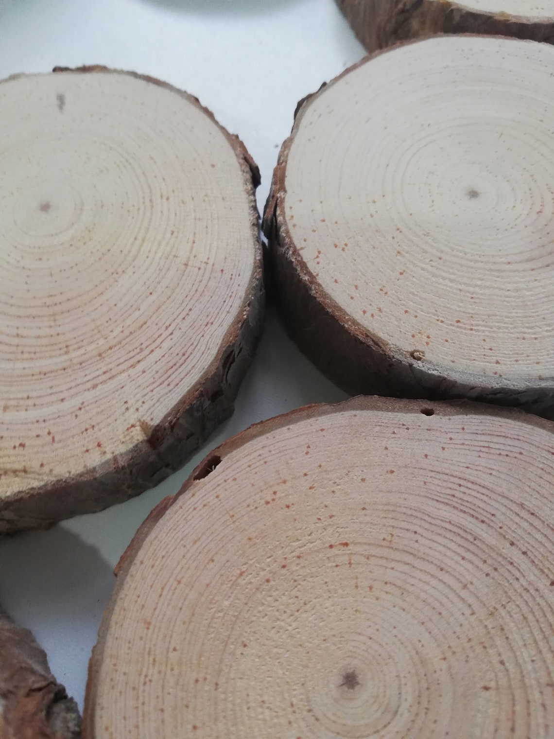 Sanded Pine Tree Wood Log Slices Set of 21-14-7 Live Edge Raw | Etsy