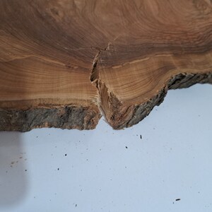 Olive Live Edge Wood Slab Olive Live Edge Log Wood Cookie Burl Slice ...