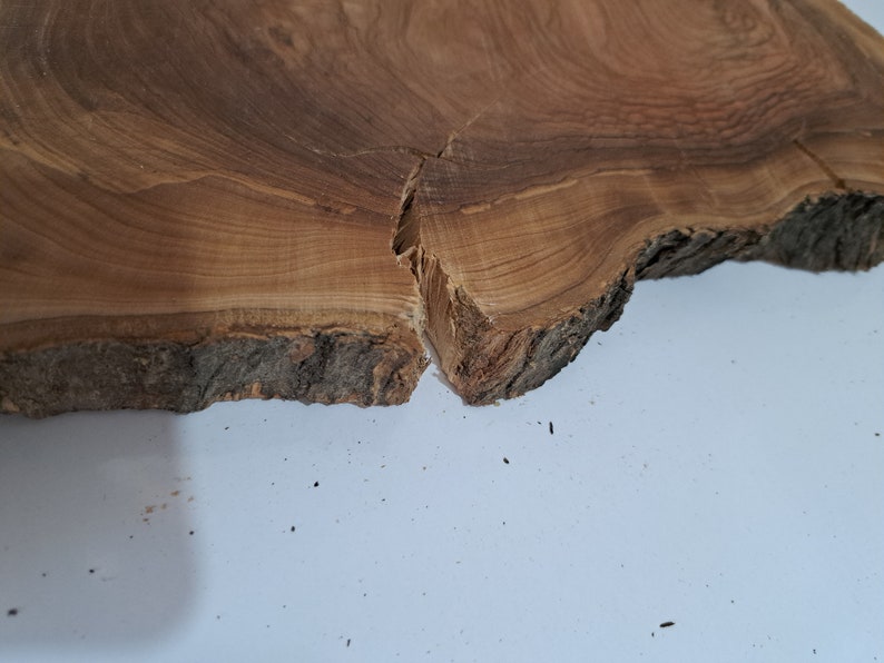 Olive Live Edge Wood Slab Olive Live Edge Log Wood Cookie Burl Slice ...