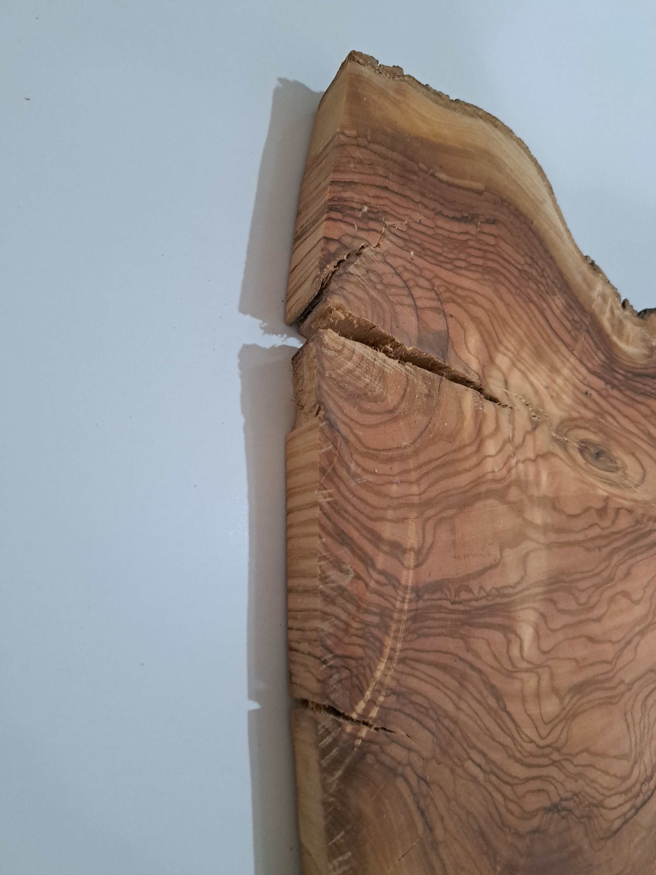 Olive Live Edge Wood Slab Olive Live Edge Log Wood Cookie Burl Slice ...