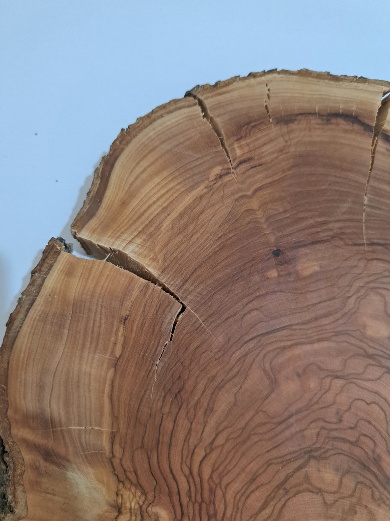 Olive Live Edge Wood Slab Olive Live Edge Log Wood Cookie Burl Slice ...