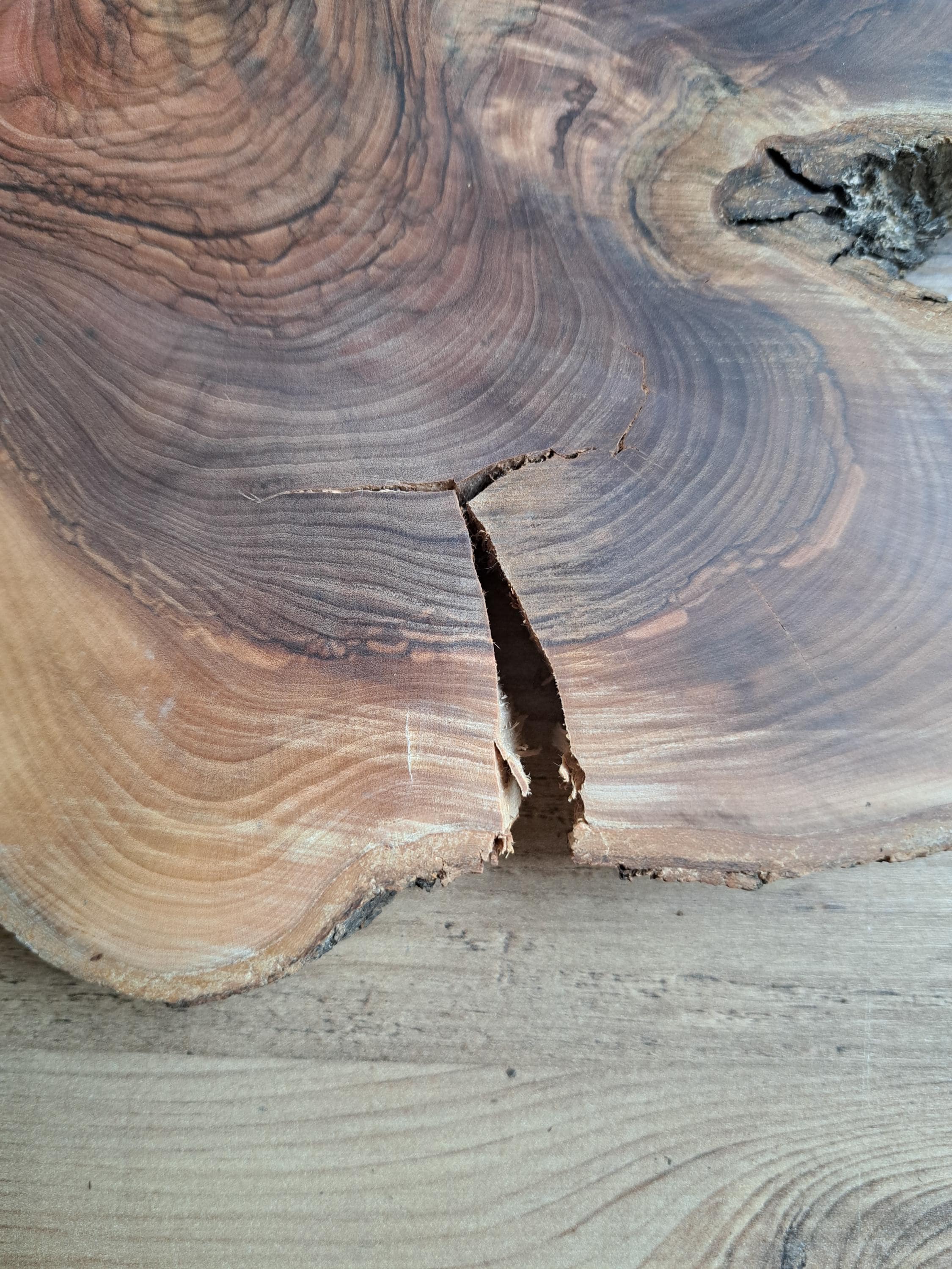 Olive Live Edge Wood Slab Olive Live Edge Log Wood Cookie Burl Slice ...