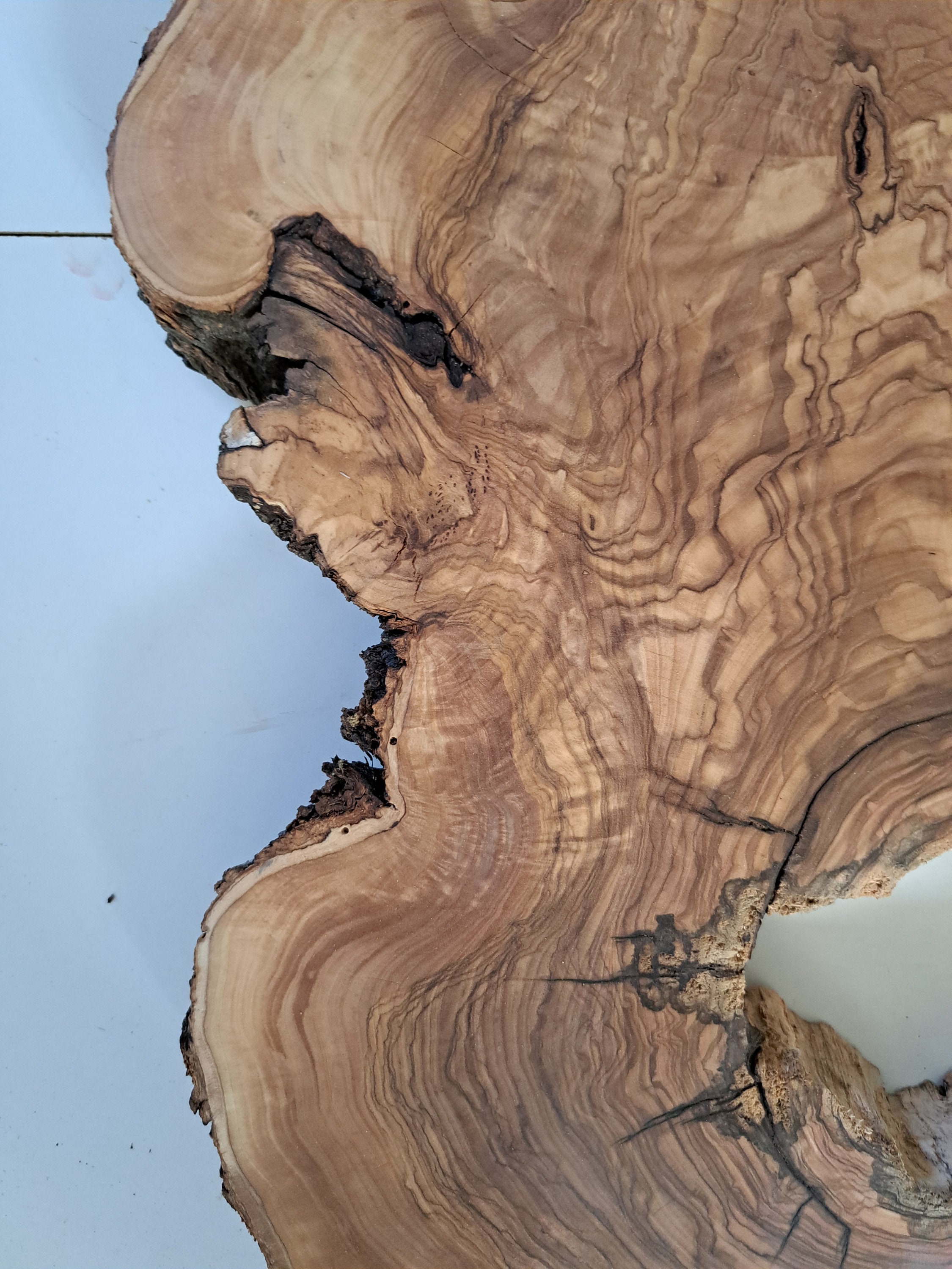 Unique Olive Live Edge Wood Slab Live Edge Olive Burl Hole Wood Slice ...