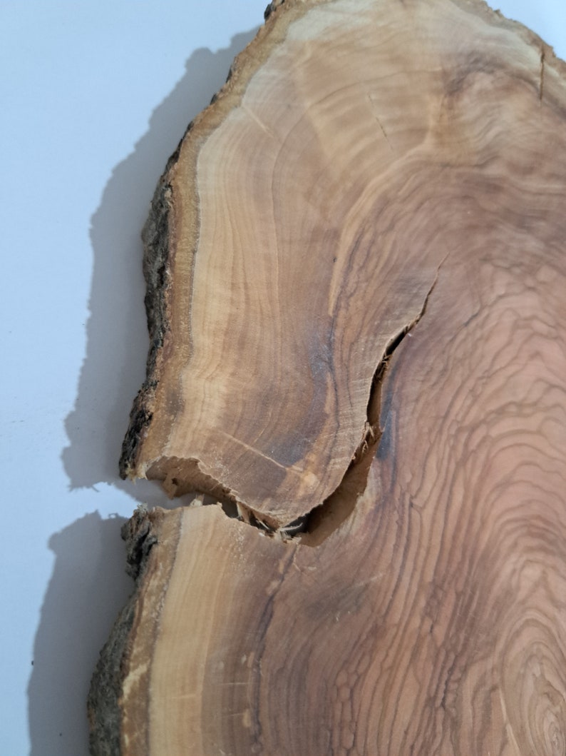 Olive Live Edge Slab Live Edge Wood Olive Burl Wood Slice Slab Wood ...