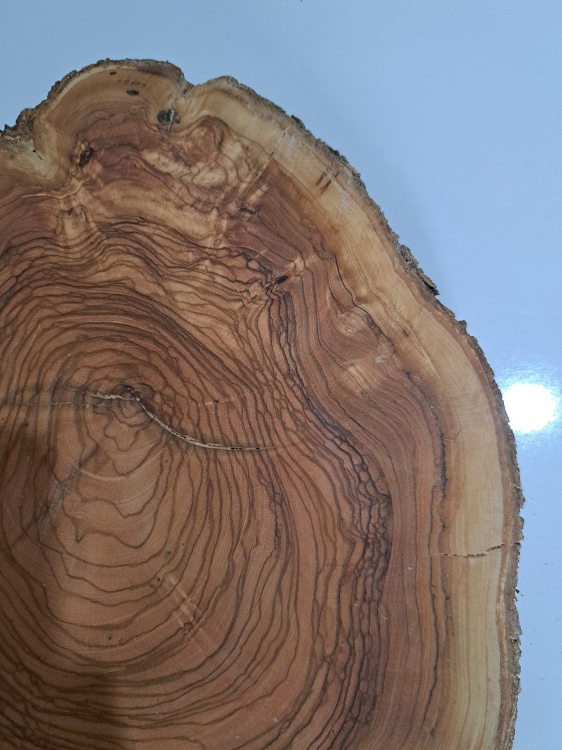 Olive Live Edge Wood Slab Olive Live Edge Log Wood Cookie Burl Slice ...
