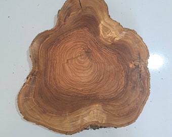 Olive Live Edge Wood Slab Olive Live Edge Log Wood Cookie Burl Slice ...