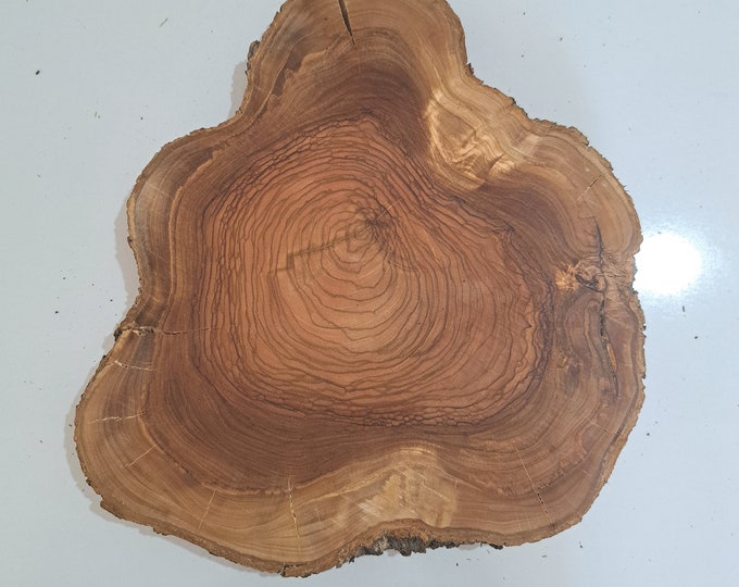 Olive Live Edge Wood Slab Olive Live Edge Log Wood Cookie Burl Slice ...