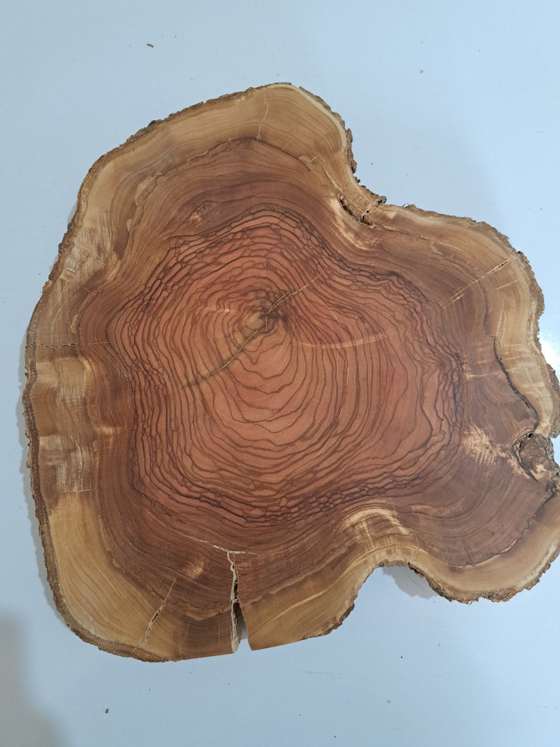 Olive Live Edge Wood Slab Olive Live Edge Log Wood Cookie Burl Slice ...