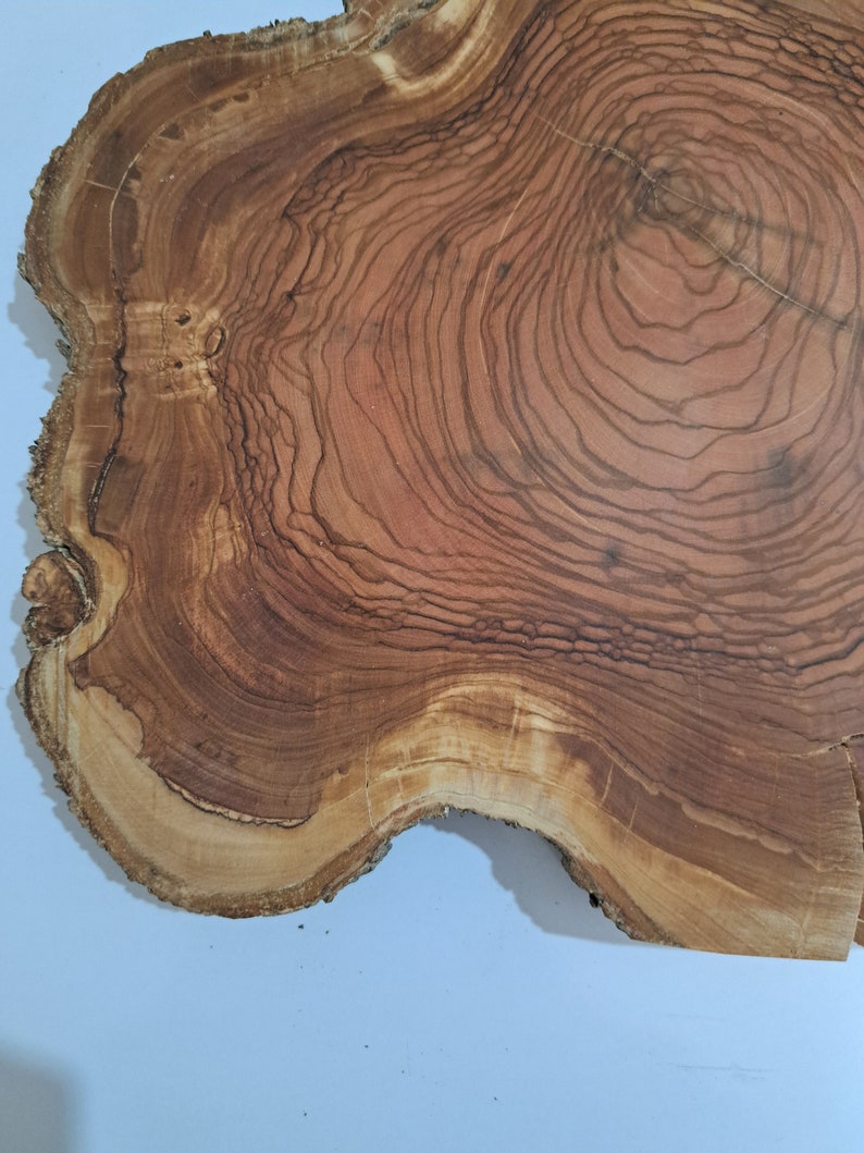 Olive Live Edge Wood Slab Olive Live Edge Log Wood Cookie Burl Slice ...