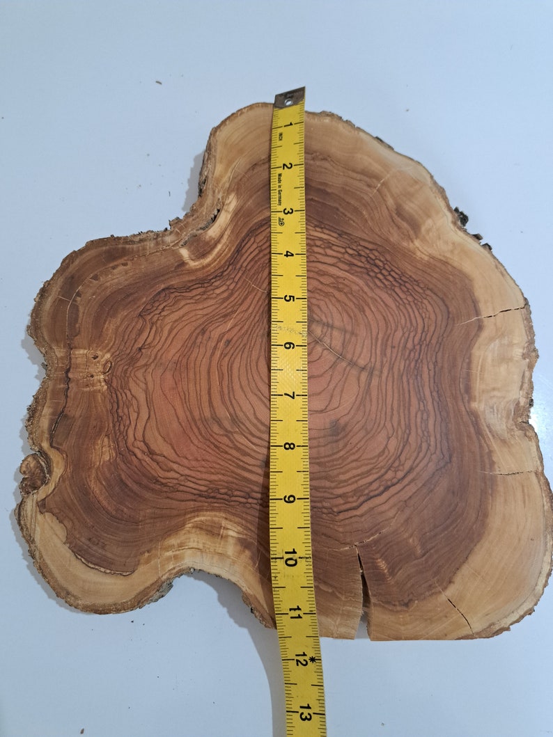 Olive Live Edge Wood Slab Olive Live Edge Log Wood Cookie Burl Slice ...
