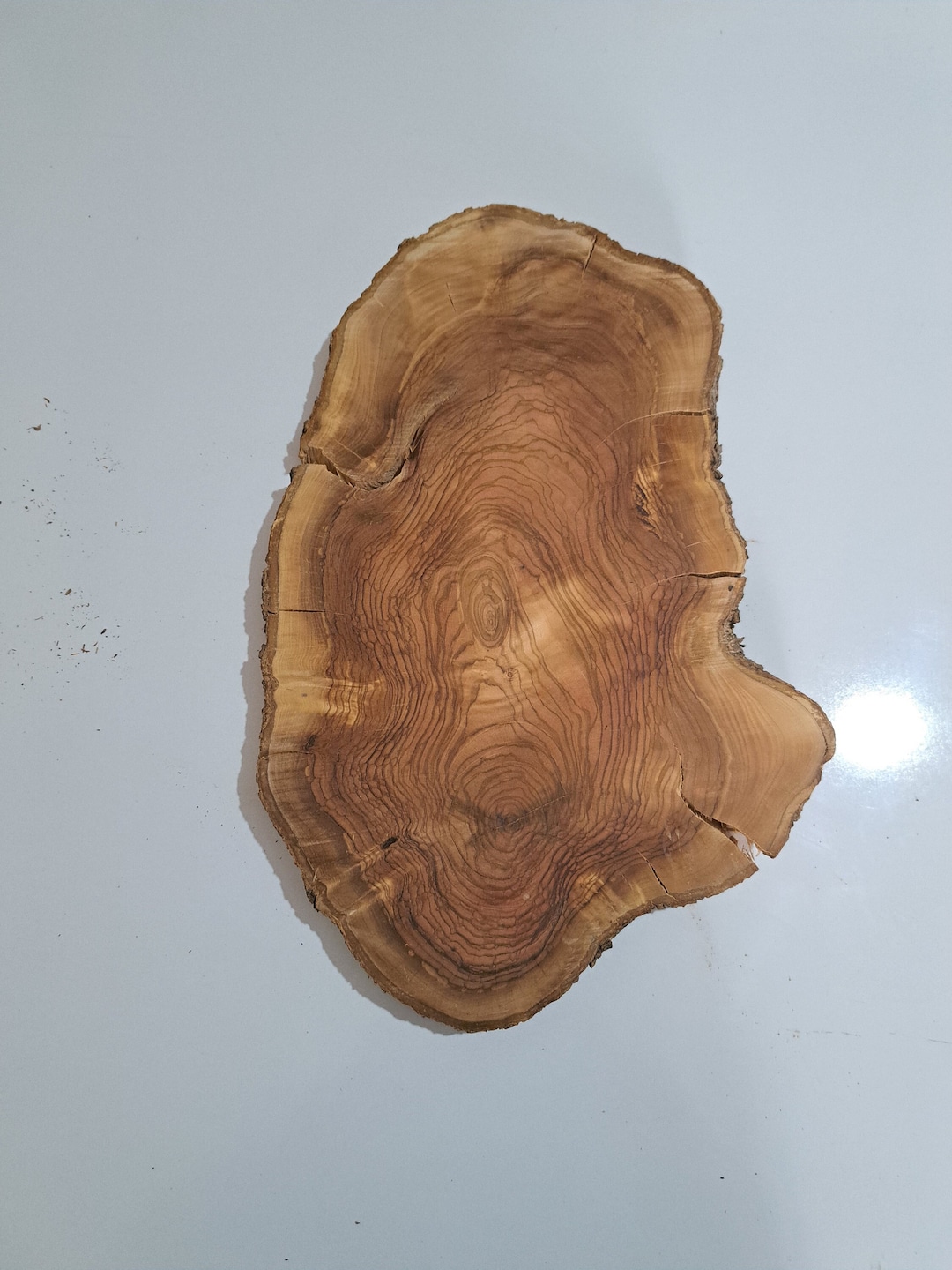 Olive Live Edge Slab Live Edge Wood Olive Burl Wood Slice Slab Wood ...