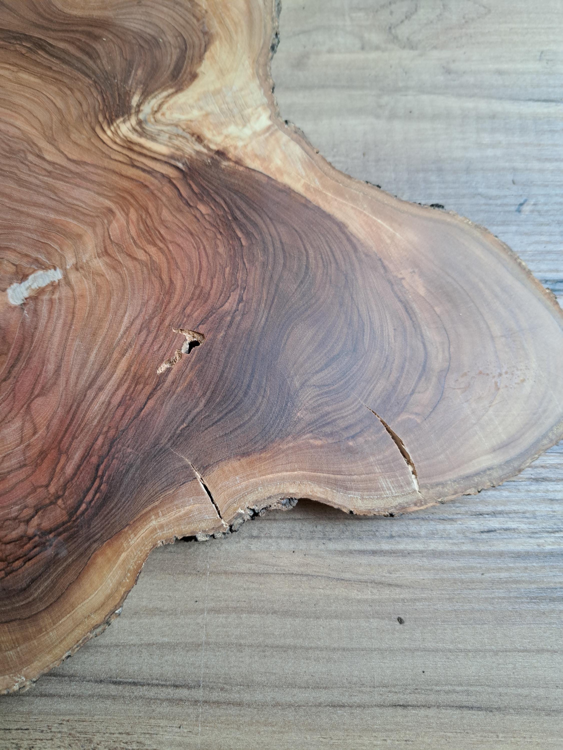 Olive Live Edge Wood Slab Olive Live Edge Log Wood Cookie Burl Slice ...