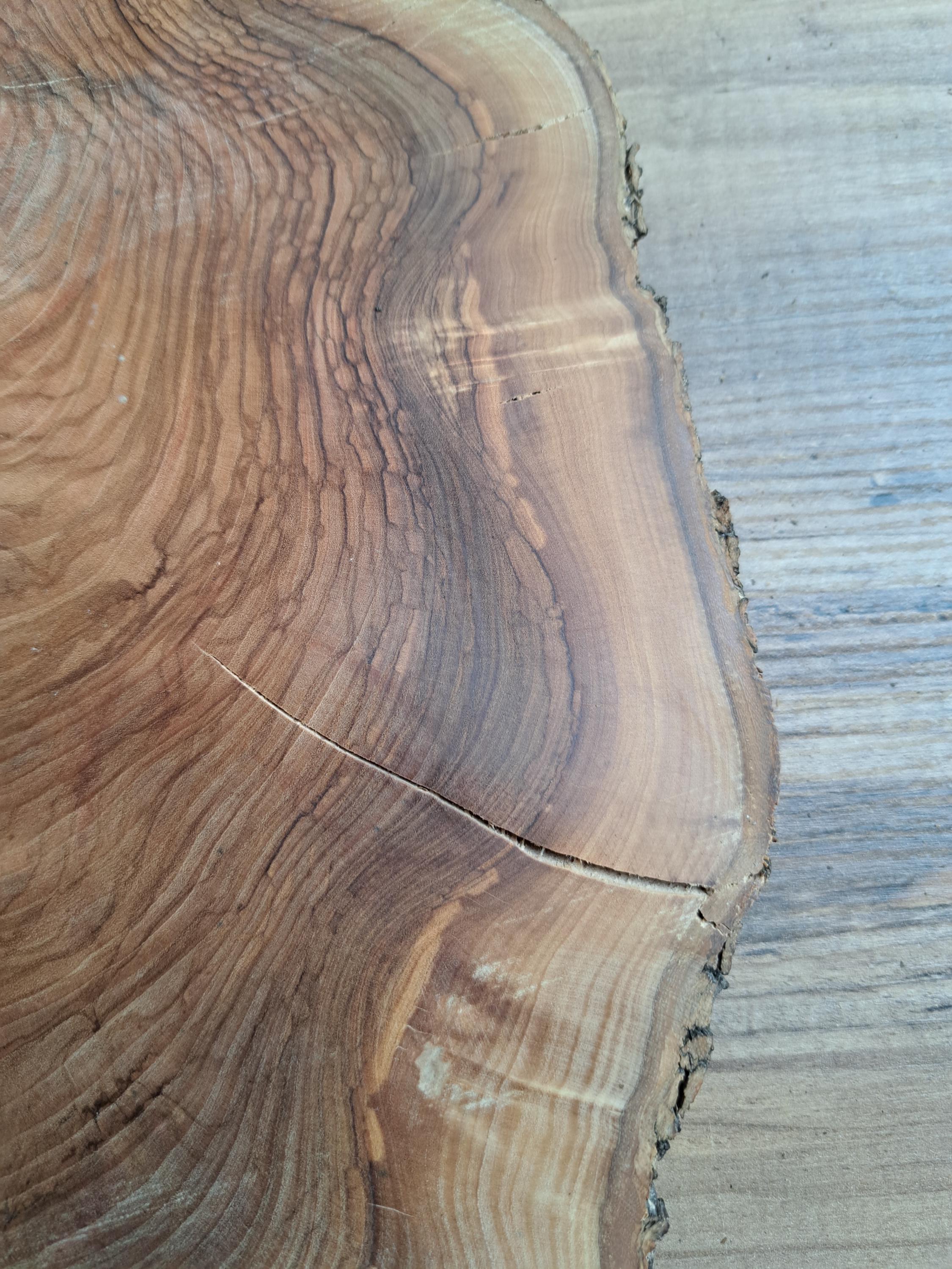 Olive Live Edge Wood Slab Olive Live Edge Log Wood Cookie Burl Slice ...