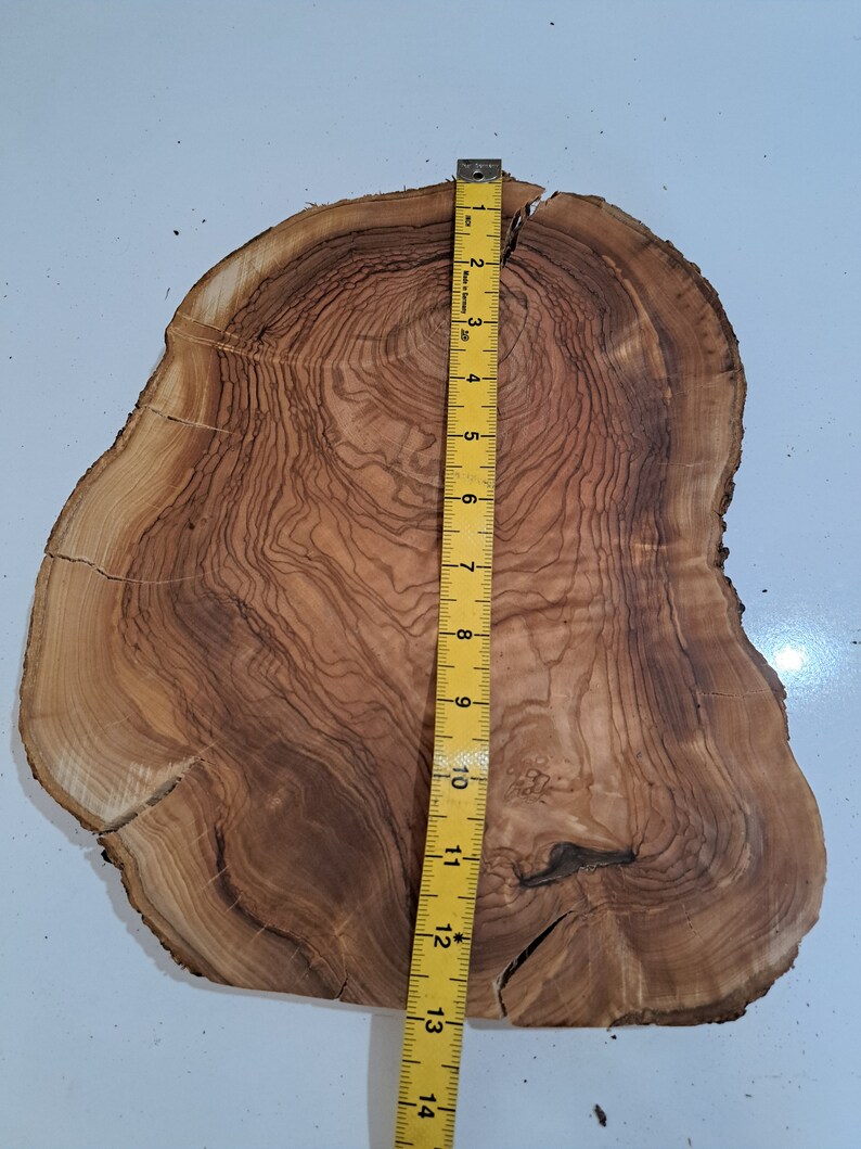 Olive Live Edge Wood Slab Olive Live Edge Log Wood Cookie Burl Slice ...