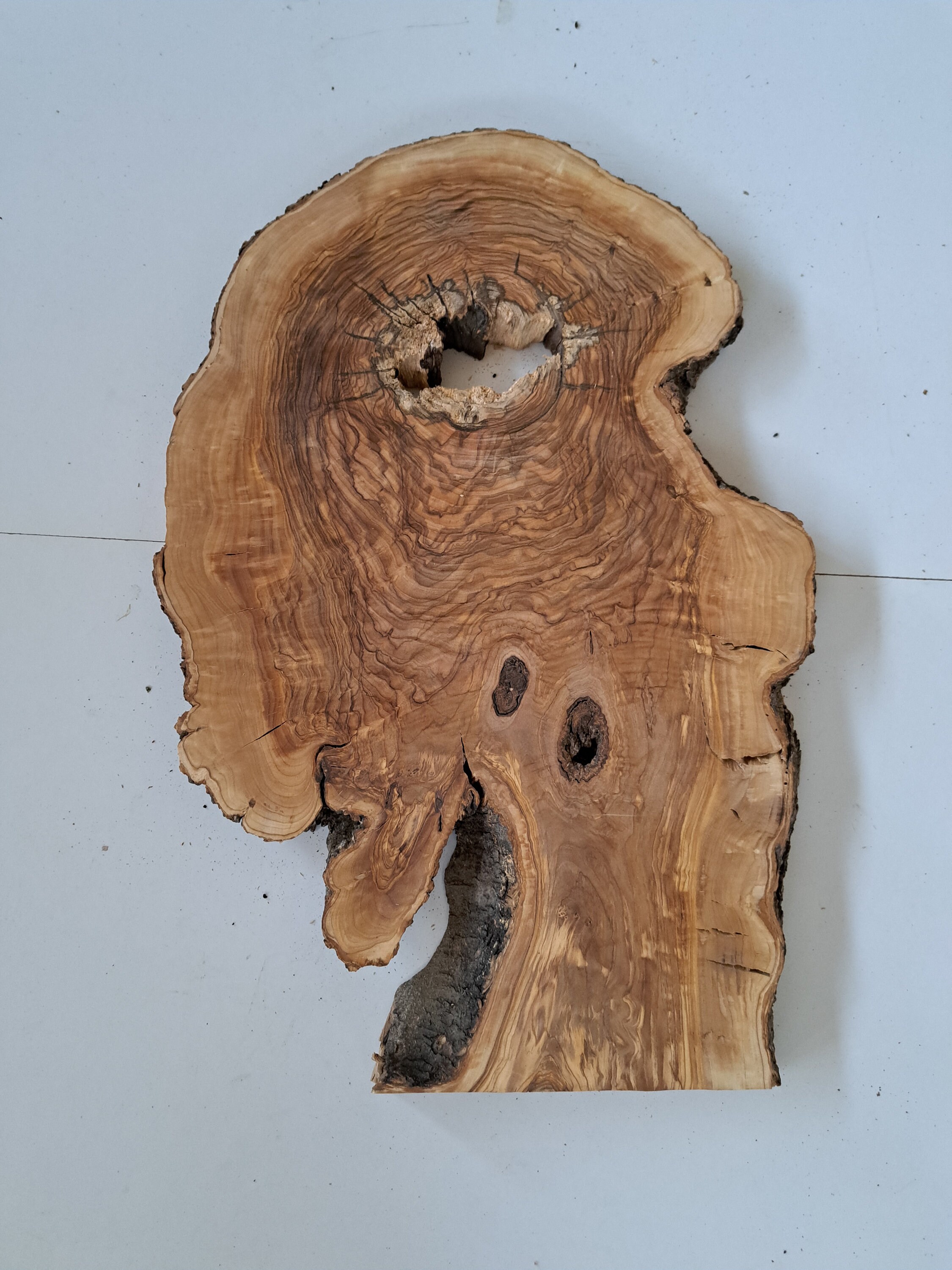 Unique Olive Live Edge Wood Slab Live Edge Olive Burl Hole Wood Slice ...