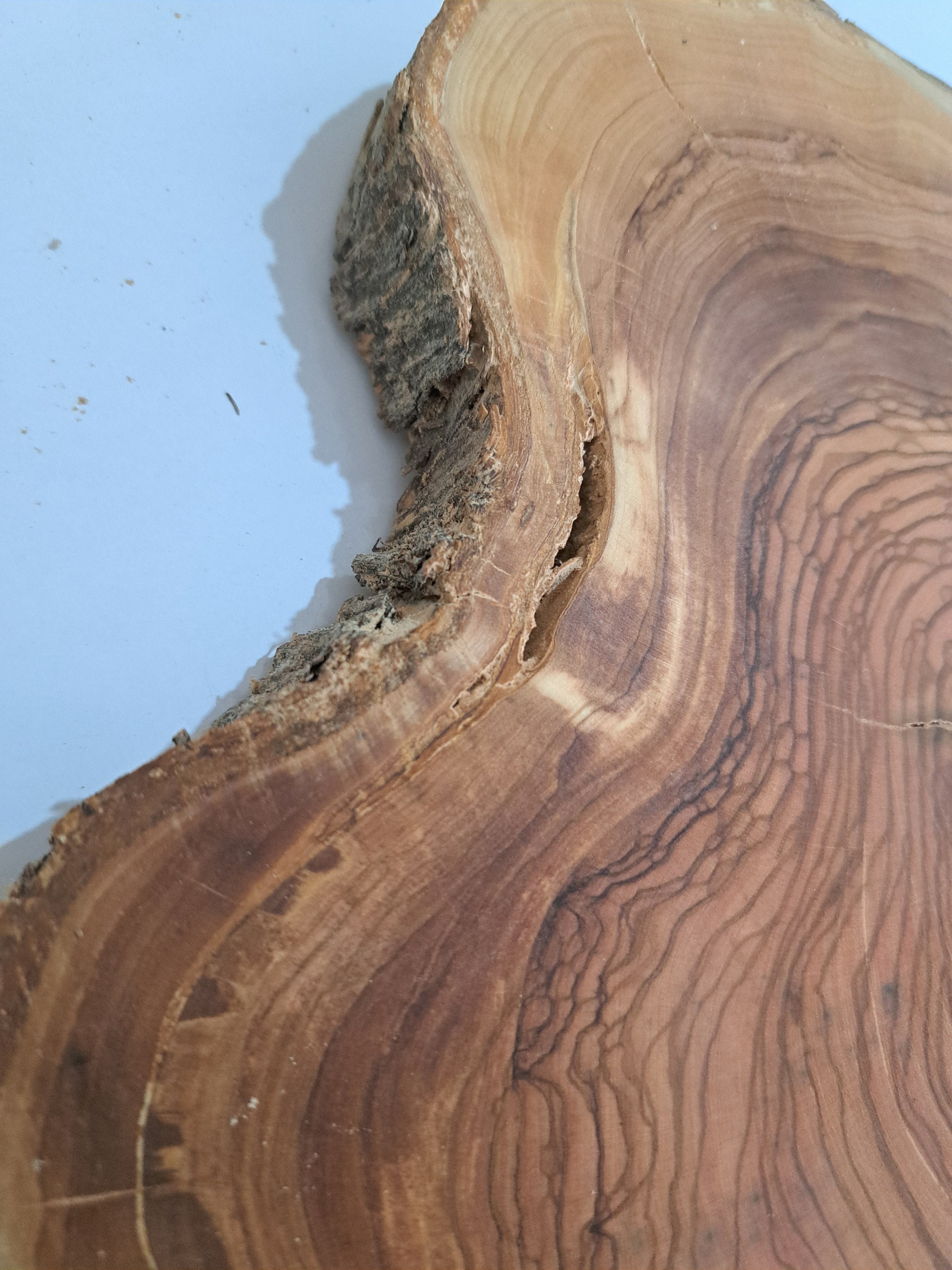 Olive Live Edge Wood Slab Olive Live Edge Log Wood Cookie Burl Slice ...