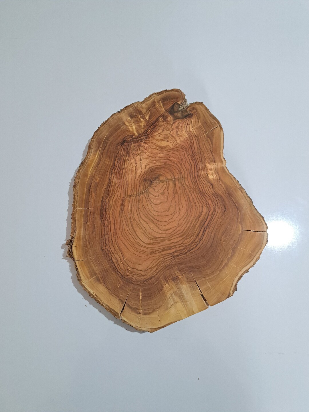 Olive Live Edge Wood Slab Olive Live Edge Log Wood Cookie Burl Slice ...